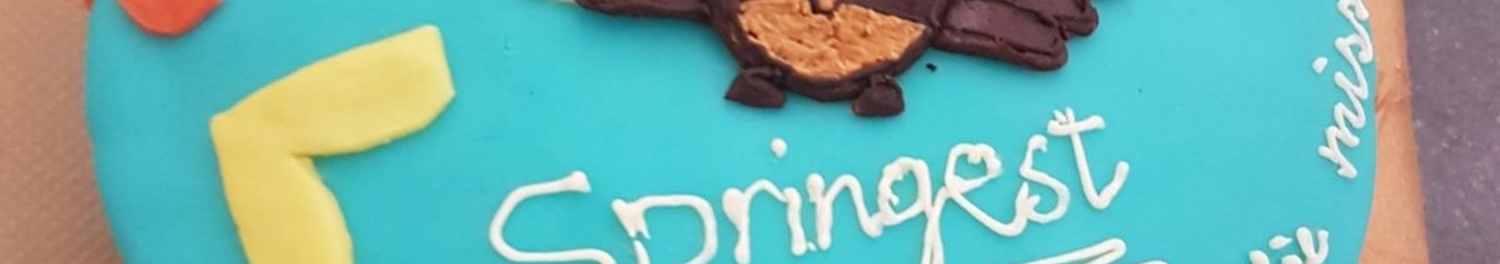 Trainer: Robert Magiera - Springest